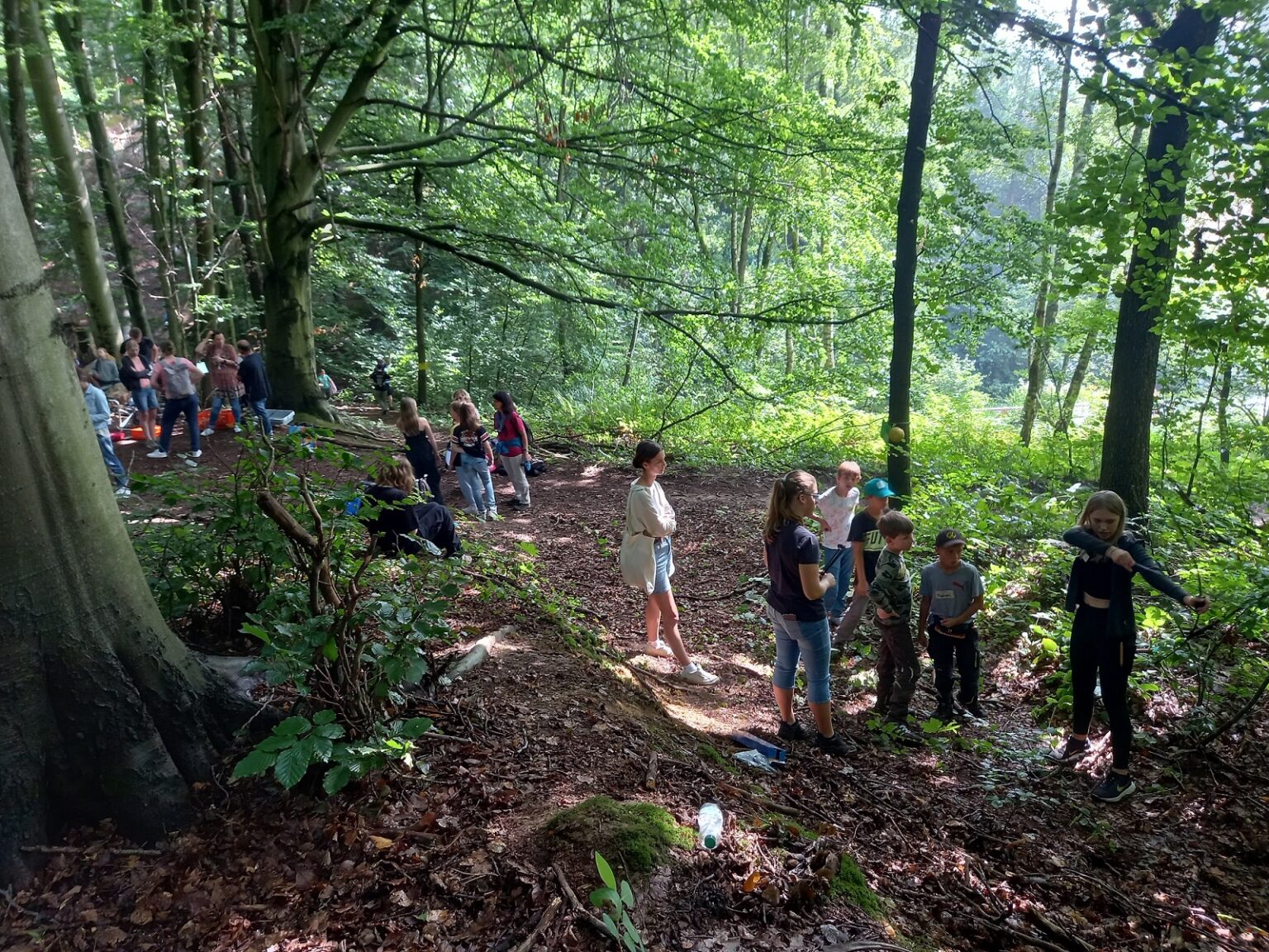 Waldtag der 5. Klassen 2024 - IGS Bad Salzdetfurth